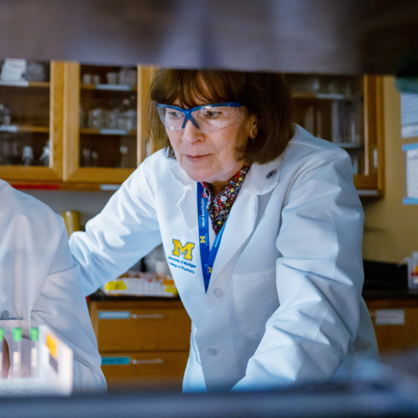 Professor Kathleen Stringer Searches for the Signals of and Treatments ...