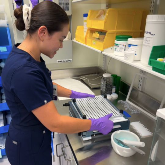 Bringing Pharm to the Farm: Following a Passion for Veterinary Pharmacy ...